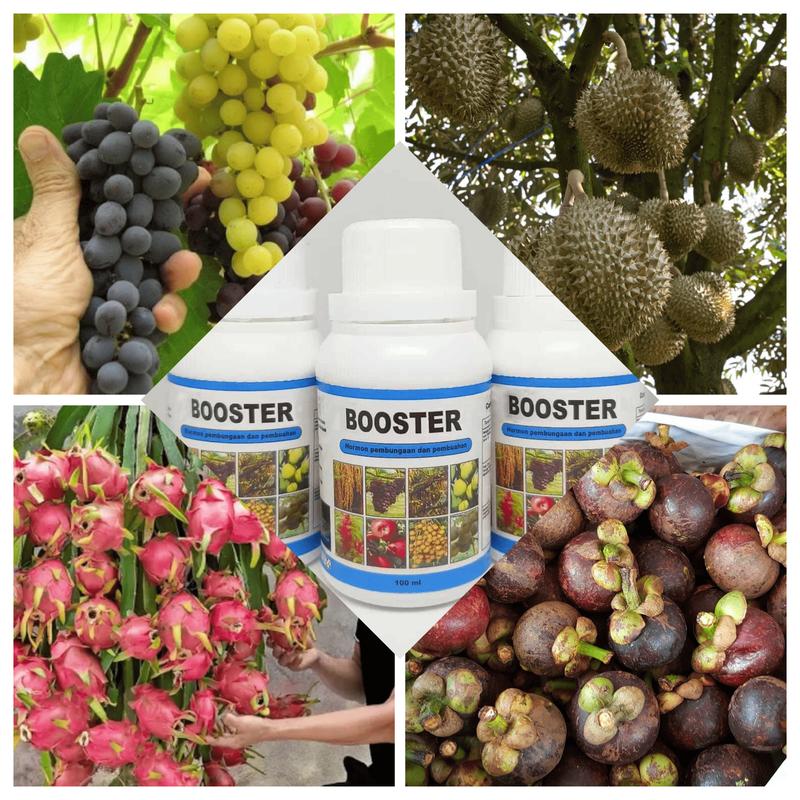 [Super 10x Cepat L9]Booster INI Paket 1 Botol - Hormon Pemac - Shop ...