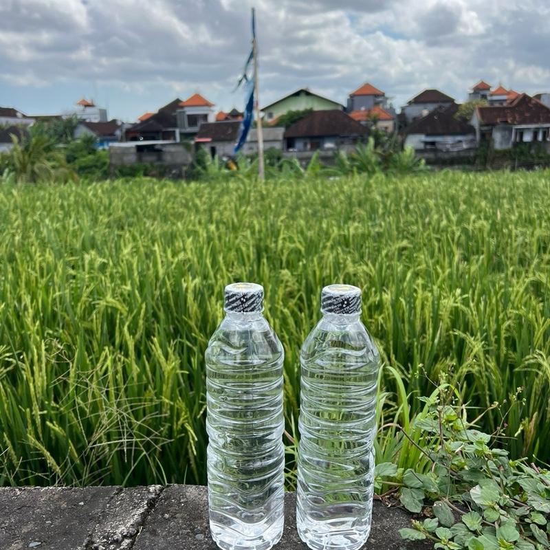( Termurah ) cuka asam manis air kelapa 1 box isi 2 botol kemasan 600ml ...