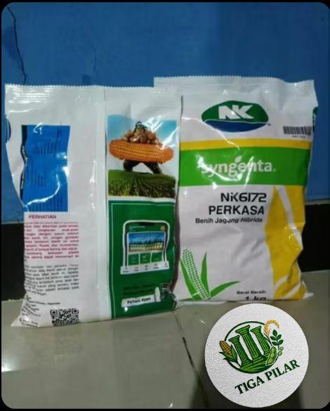 Syngenta Perkasa 1kg Model NK6172 Benih Jagung Hibrida Berkualitas ...