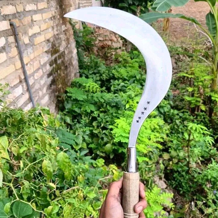 Sabit Rumput Madura Baja Asli Gagang Putih Arit serbaguna - Shop ...