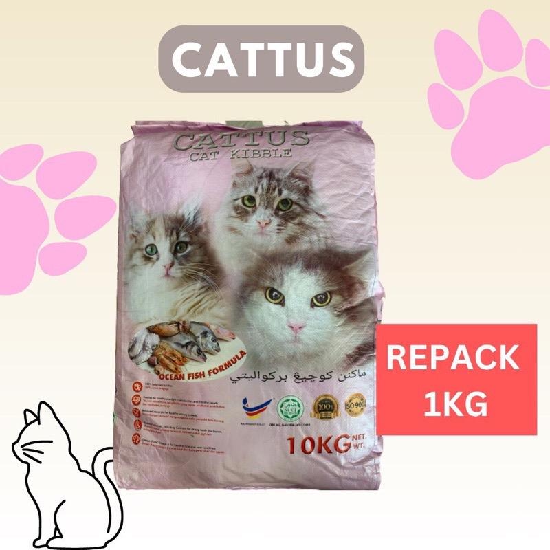 CATTUS CAT FOOD REPACK 1KG - TikTok Shop Malaysia