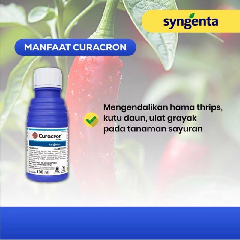 Curacron 100ml (pembasmi hama tanaman kutu putih cabai & serangga ...