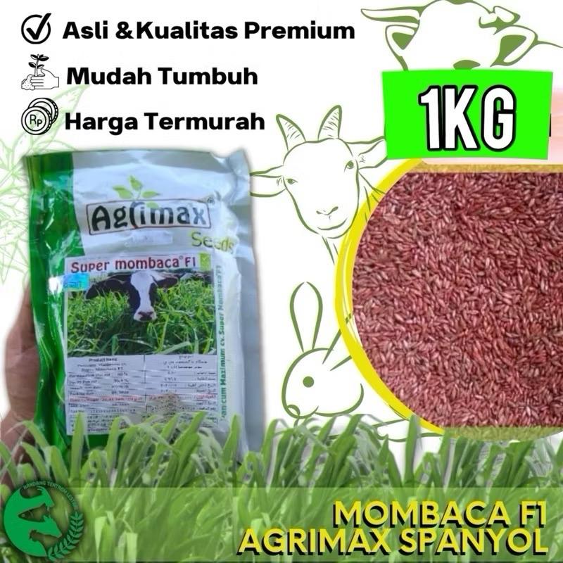 Benih super mombaca F1 1kg biji agrimax spanyol - Shop | Tokopedia