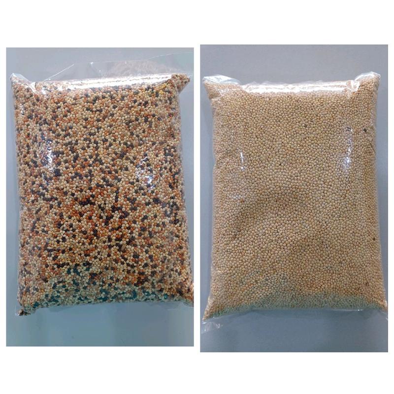 Makanan burung sambau putih dan sambau campur / 1 kg - TikTok Shop Malaysia
