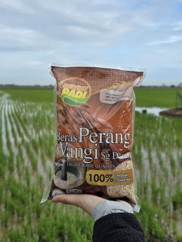 Berkat Padi Beras Perang Wangi 1kg Tanpa Bau Kepam - TikTok Shop Malaysia