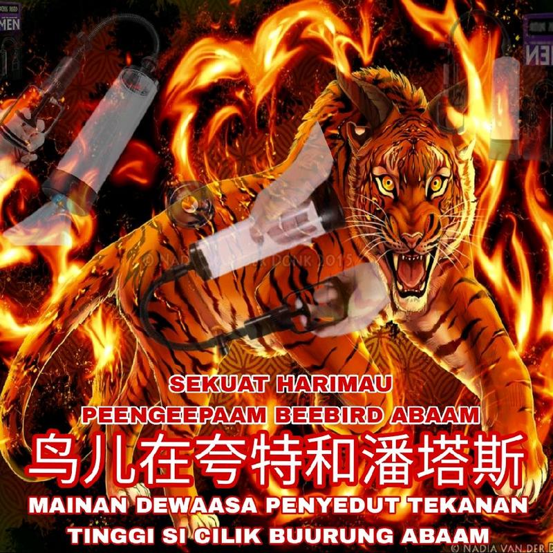 SEKUAT HARIMAU MAINAN BEEBIIRD PEENGEEPAAM BEEBIRD SI ADIK AABAAM ...