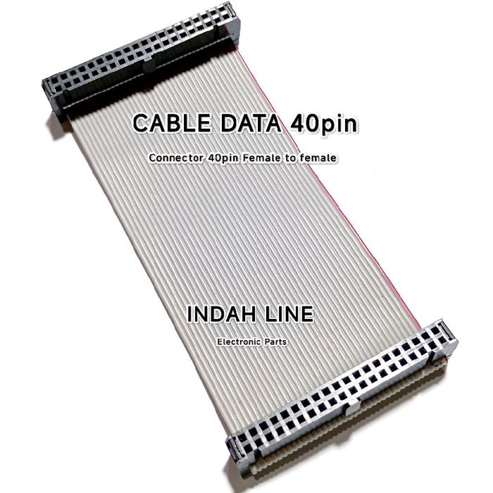 Jual 30cm Cable Data 40pin Flat Cable 40p + IDC Socket 40 pin Female to ...