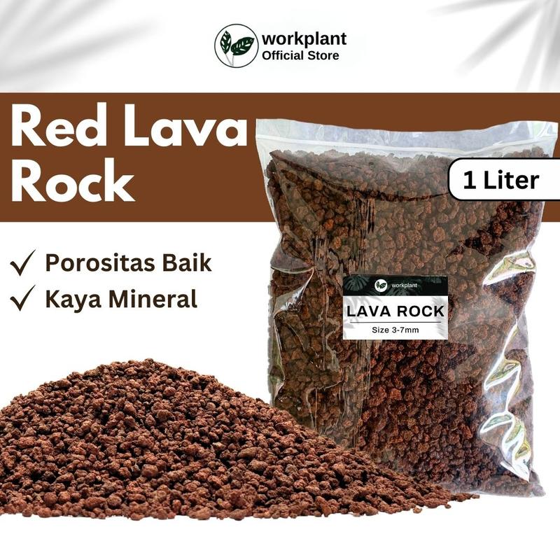 Red Lava Rock - Pasir Malang Merah Vulcanic Soil Lavarock Media - Shop ...