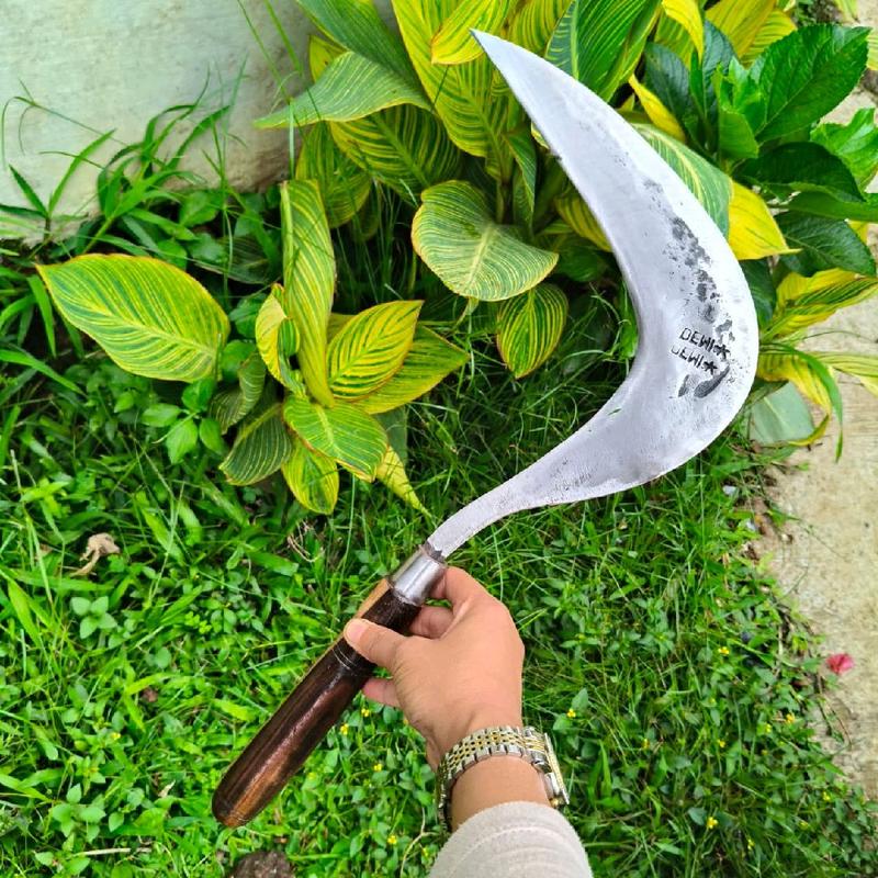 arit rumput baja asli jenis arit gaet full baja dewi bintang aret ...