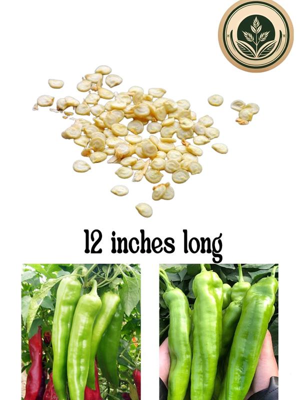Chili Pepper Seeds - Giant Green Pepper - from Mexico - TikTok Shop ...