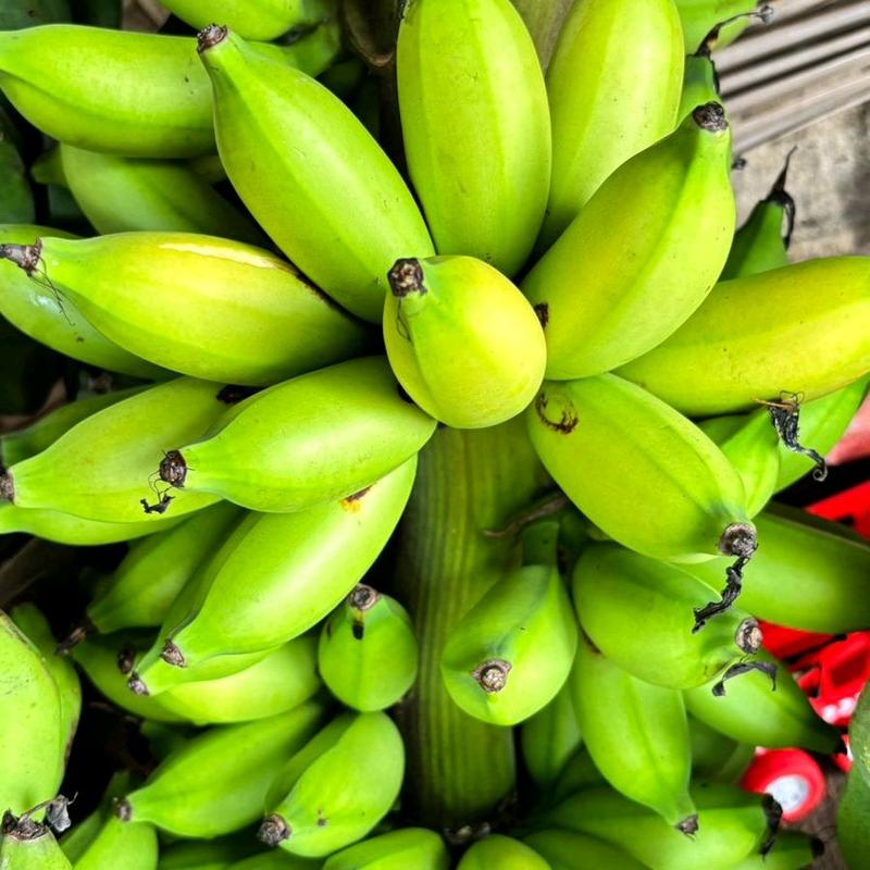 pisang muli/pisang lampung - Shop | Tokopedia