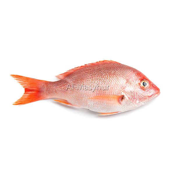 F01 - Red Snapper 1kg* (Ikan Merah) - TikTok Shop Singapore