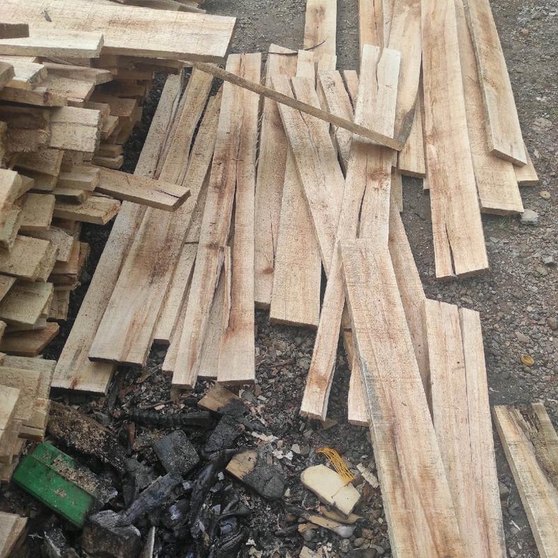 Kayu sengon laut/albasia afkiran/sutiran dari bahan pallet, cocok ...