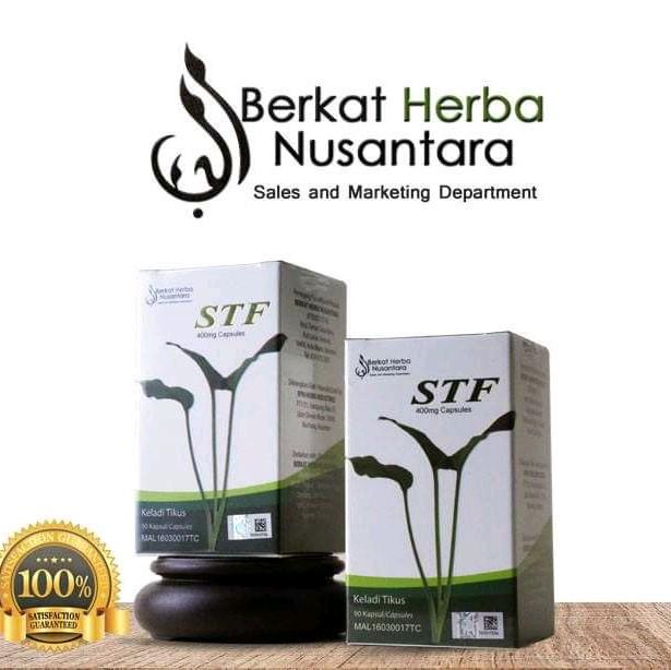 Herba Keladi Tikus Stf Original ( HQ ) - TikTok Shop Malaysia