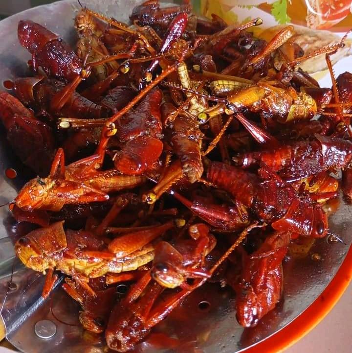 belalang kayu goreng toples warna Food Snack Pedas Keripik - Shop ...