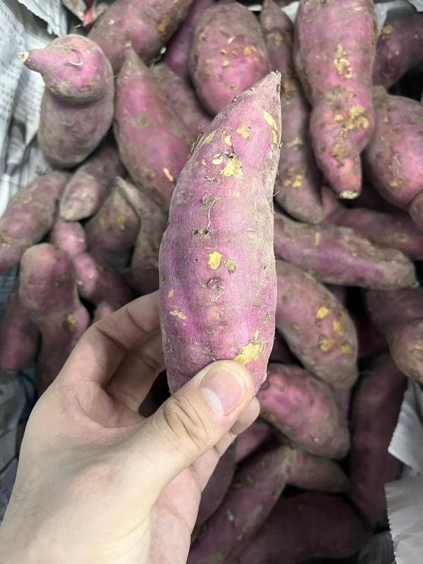 (KUNING ISI) Ubi Keledek Japan Ungu/Kuning Madu ,Fresh & Manis，Sweet ...