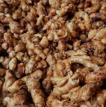 1kg kencur murah cocok untuk bikin seblak Rempah - Shop | Tokopedia
