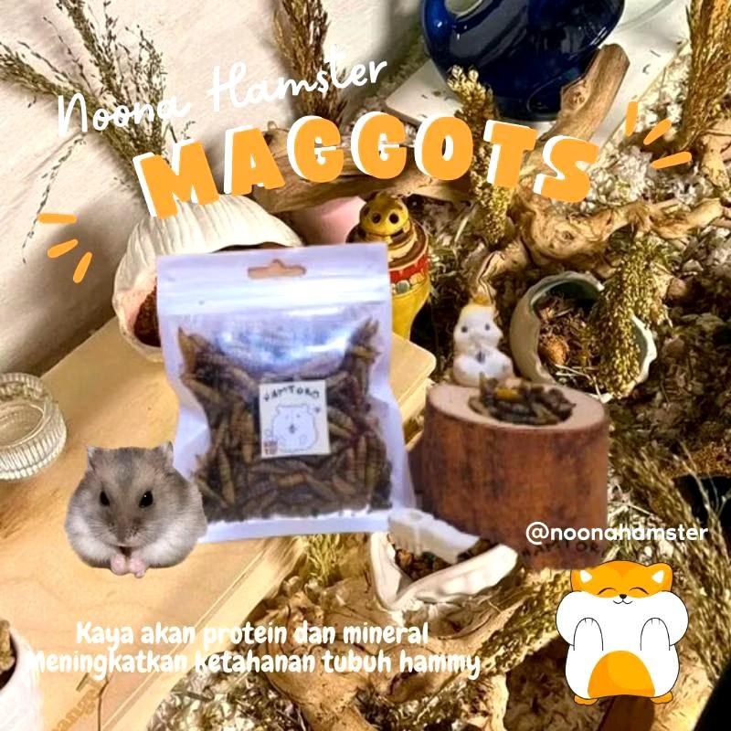 MAGGOTS ULAT HONGKONG KERING SNACK HEWAN HAMSTER LANDAK DLL - Shop ...
