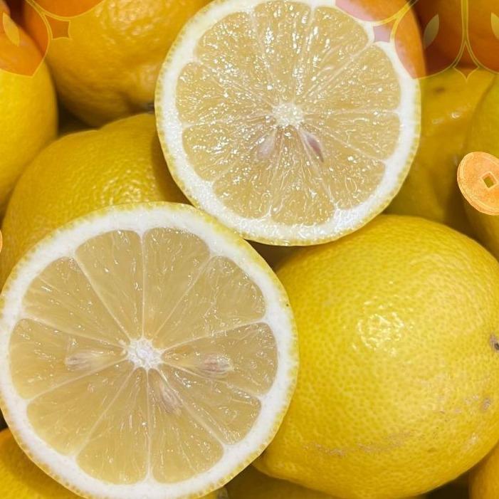 MBG China Lemon (S) [6 Pcs] - TikTok Shop Malaysia