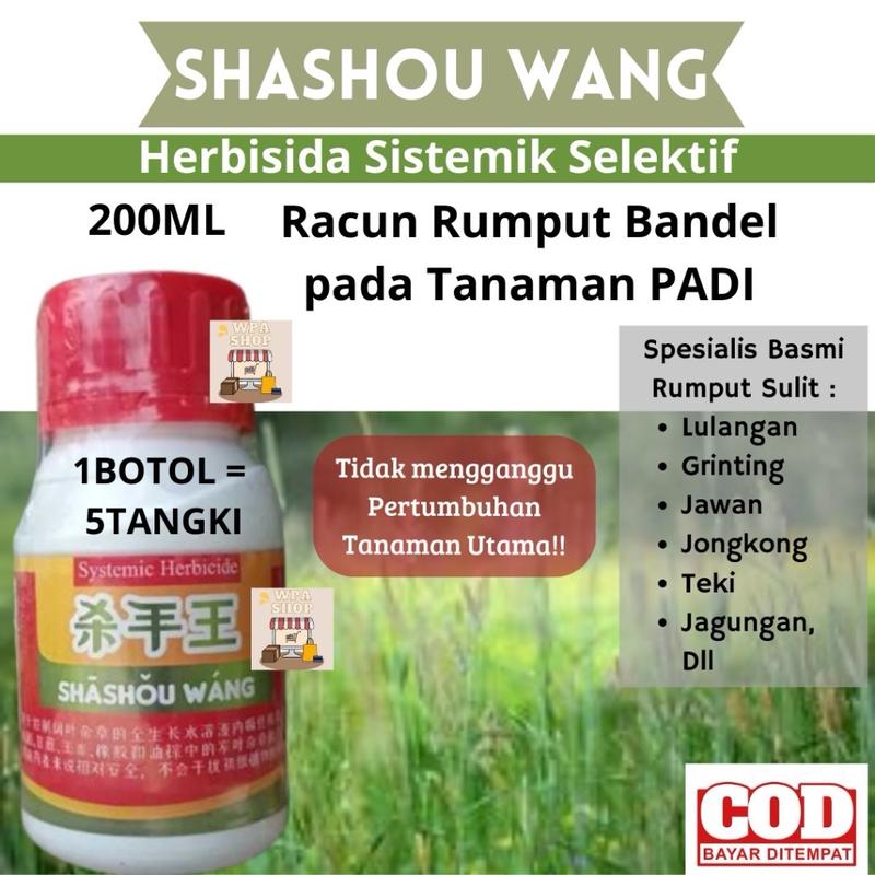 Shashou Wang Herbisida Sistemik Selektif Pembasmi Rumput Liar - Shop ...