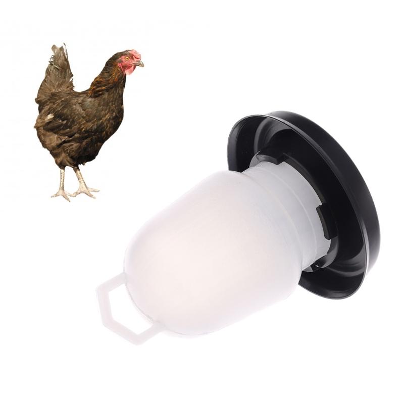 1PC Kettle Shape Plastic Chicken Water Drinking Bird Quail Poultry ...