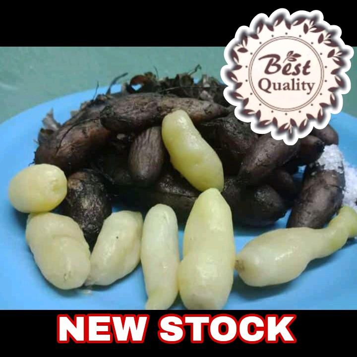 KEMILI 1KG STOCK BARU / KEREPEK UBI dried snacks - TikTok Shop Malaysia