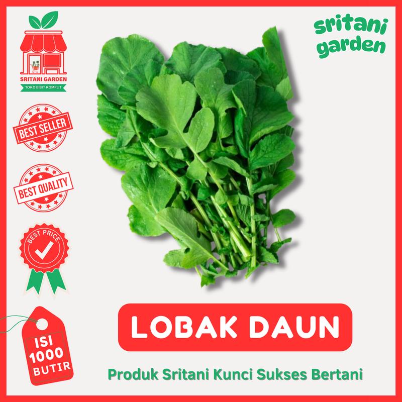 Benih Lobak Daun Lalap 1000 Biji Radish Leaf Best Seller - Sritani ...