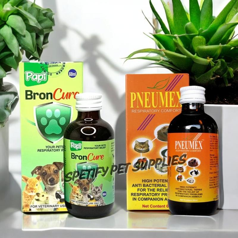 broncure and pneumex 60ml syrup respiratory comfort - TikTok Shop ...