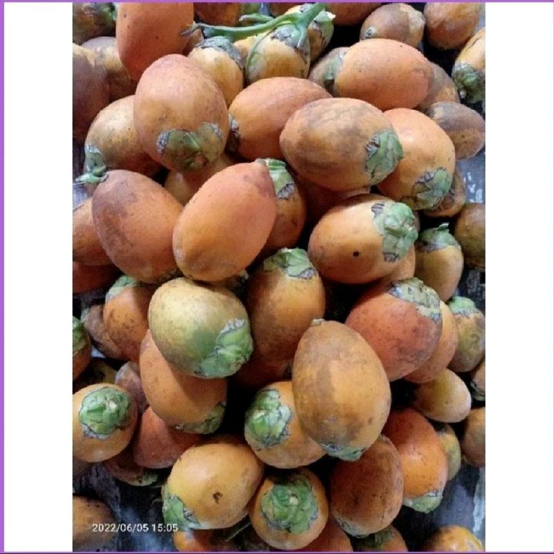 Beatlenut seed bunga ng buwa limang peso isa galing baler pang - TikTok ...