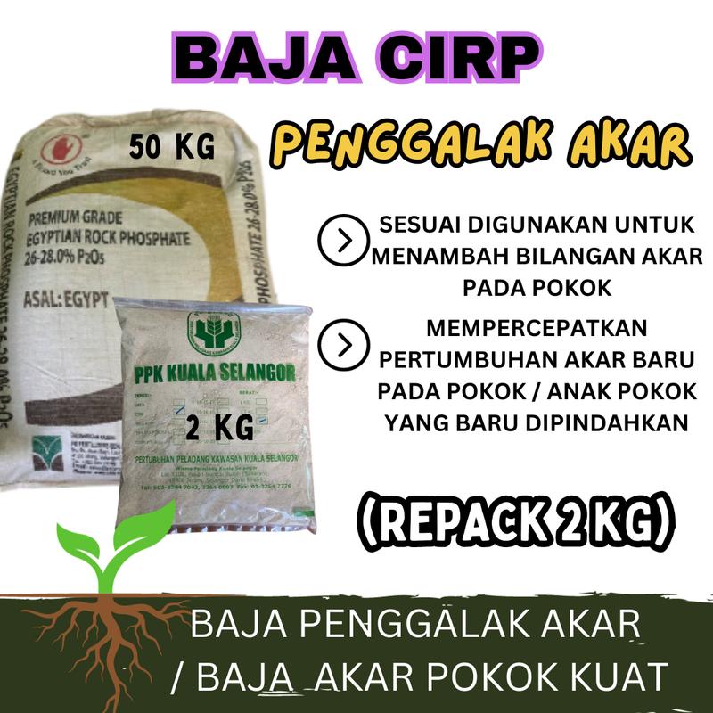 Baja CIRP / Baja penggalak akar / Baja tanah / Baiki struktu - TikTok ...