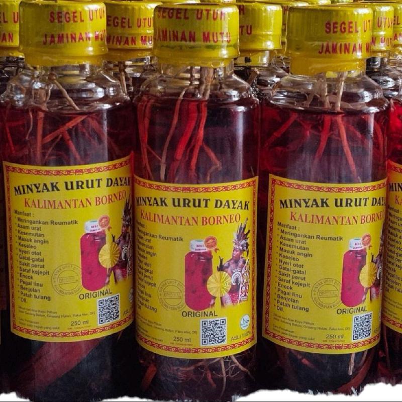 Minyak Urut Dayak Kalimantan - Obat untuk Berbagai Penyakit - Shop ...
