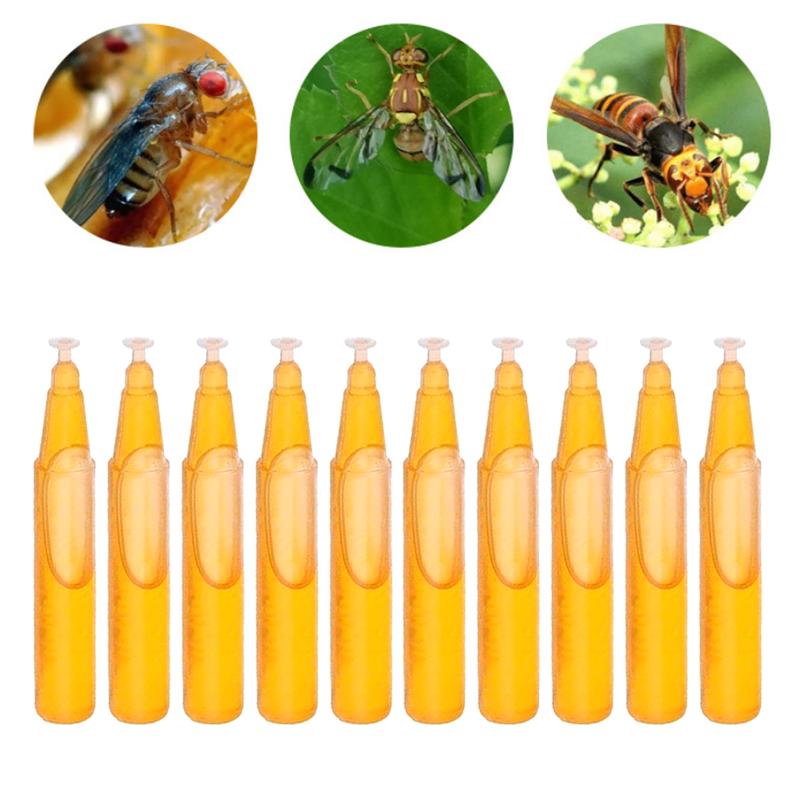 10Pcs Fruit Fly Attractant Liquid Fruit Fly Killer Drosophil - TikTok ...