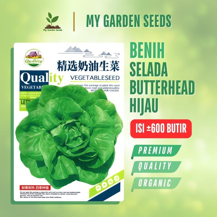 Jual BENIH SELADA BUTTERHEAD / SELADA MENTEGA HIJAU KEMASAN IMPORT ± ...