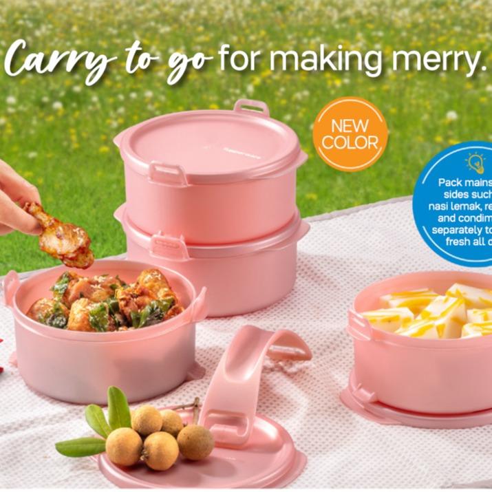 Tupperware Tup Tiffin Set (4) 550ml - TikTok Shop Malaysia