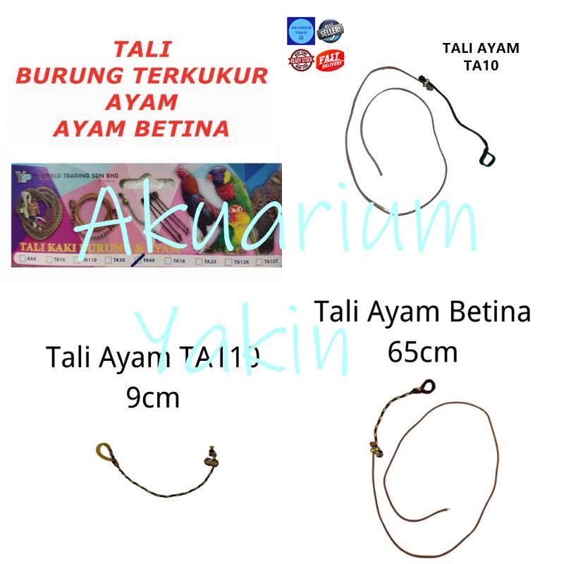 4077 Tali Burung Terkukur Bird Rope / Tali Kaki Ayam / Ayam Betina ...