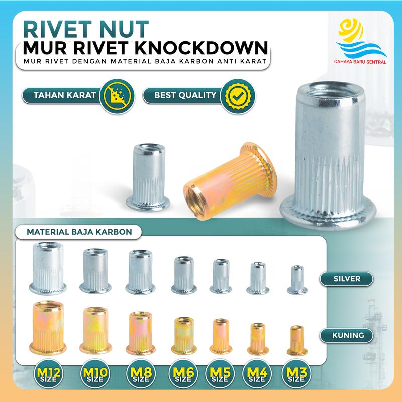 Rivet Nut Rivnut Flat Nut M3 M4 M5 M8 M10 - M3 (50PCS) - Shop | Tokopedia