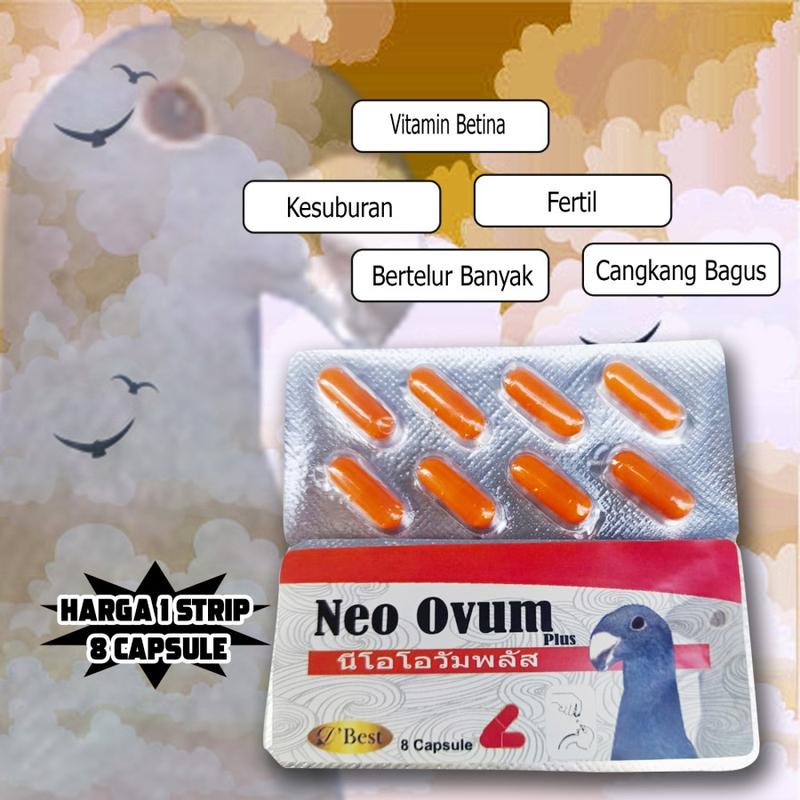 VITAMIN BURUNG BETINA NEO OVUM BEST BETELOR FERTIL TERNAK TELUR BURUNG ...