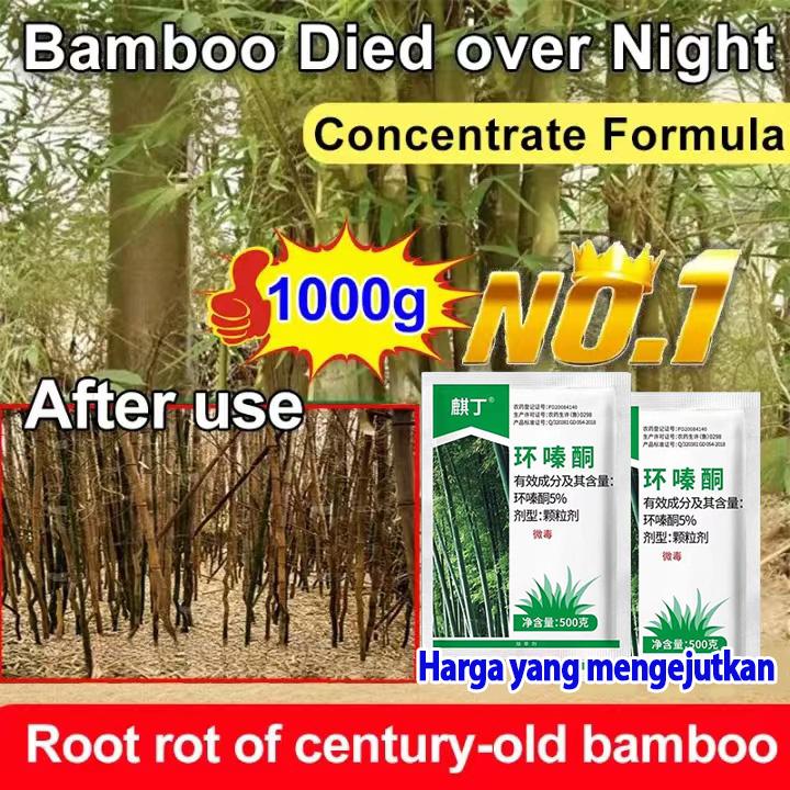 Root rot of century-old bamboo LL Bamboo killer 500g Racun pokok ...