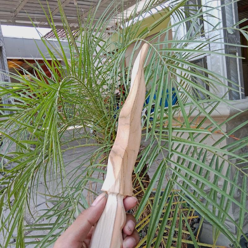 keris kayu polos- keris mainan - Shop | Tokopedia