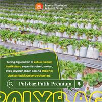 Promo Polybag Putih 40 x 40 Isi 50 Lembar - Polybag Media Tanaman ...