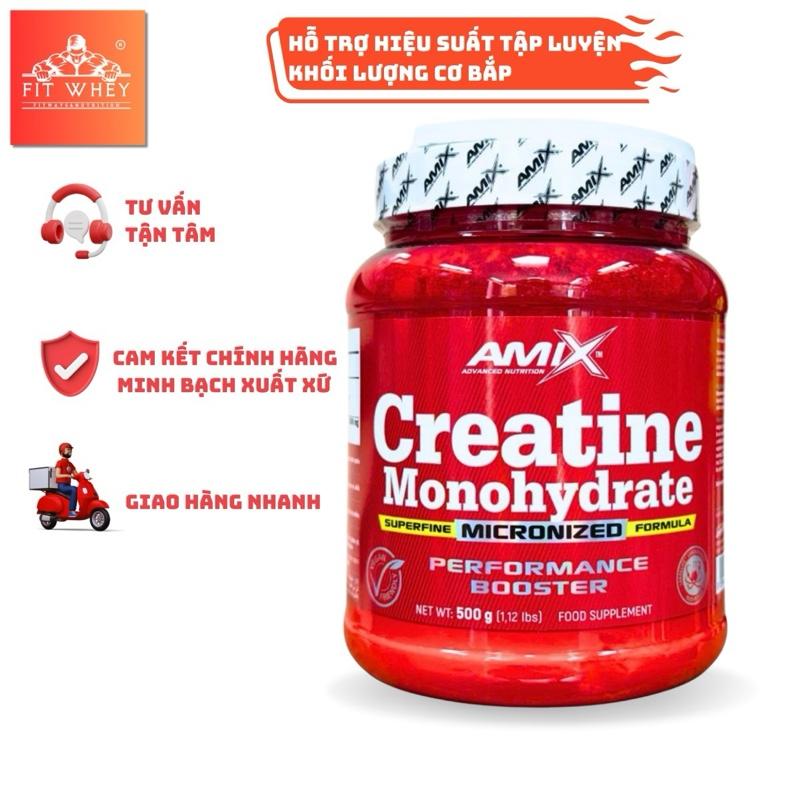 Amix Creatine Monohydrate Micronized Powder 500gram (166 Servings ...