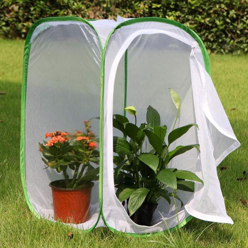 Green Portable Foldable Breeding Incubator Box Butterfly Grasshopper ...