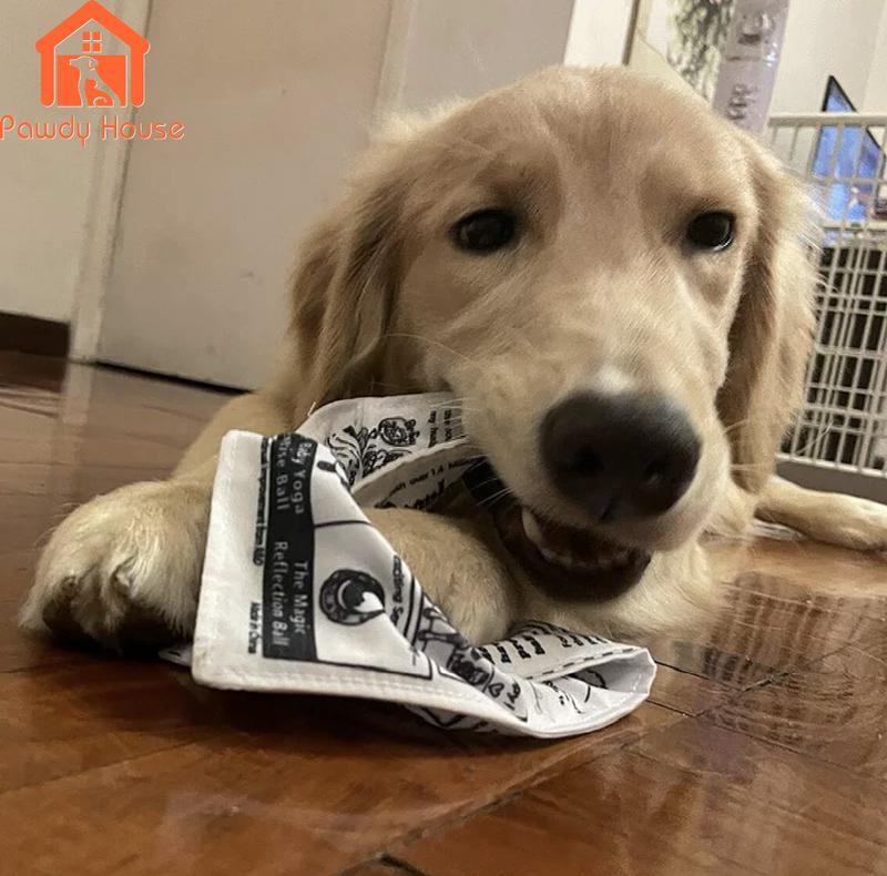 Crinkle Paper Dog Toy Newspaper Paper Sound Dog Toy Chew Toy - TikTok ...