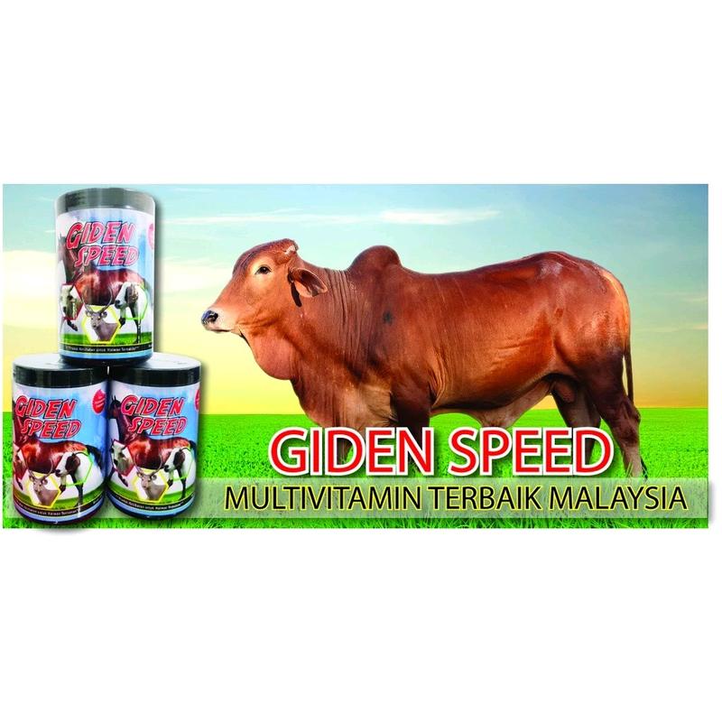 Giden Speed Gemuk Lembu kambing Kuda - TikTok Shop Malaysia