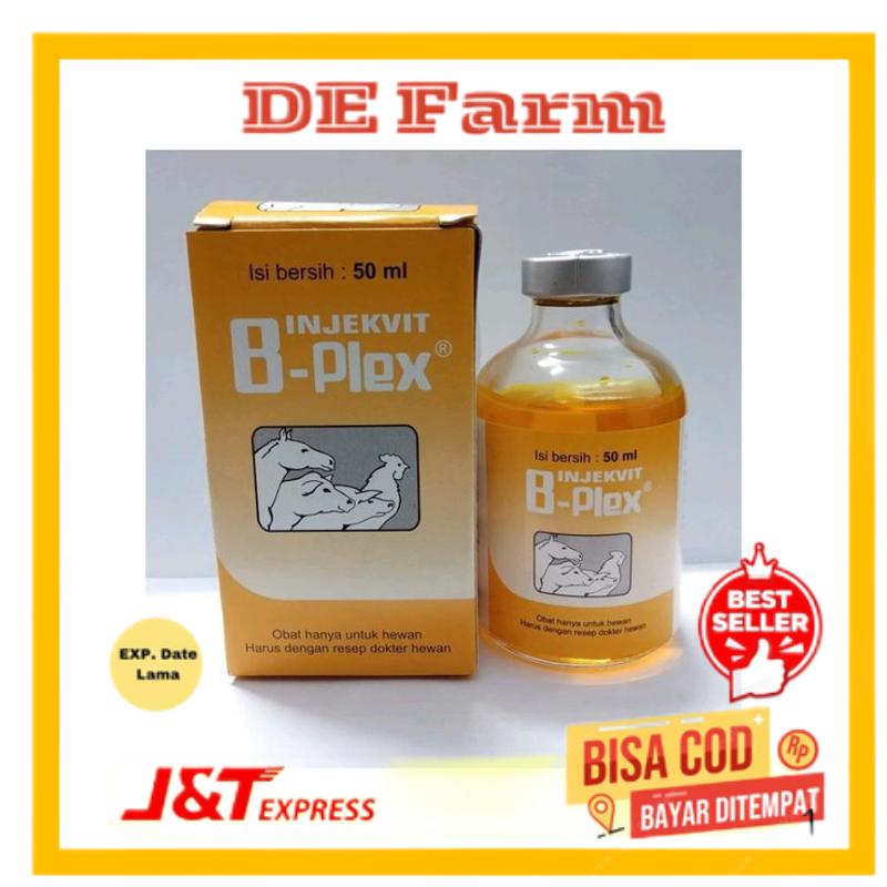 Injekvit B-Plex 100 ml Multivitamin kesehatandan menambah nafsu - Shop ...