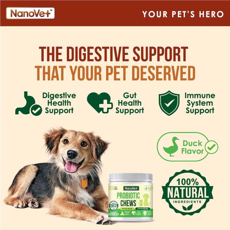 Nanovet Probiotic Chew 45chew - TikTok Shop Malaysia