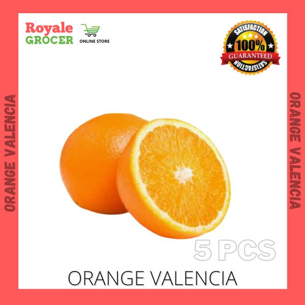 Royale Grocer Fresh Valencia Orange - 5pcs per pack Oren Bua - TikTok ...