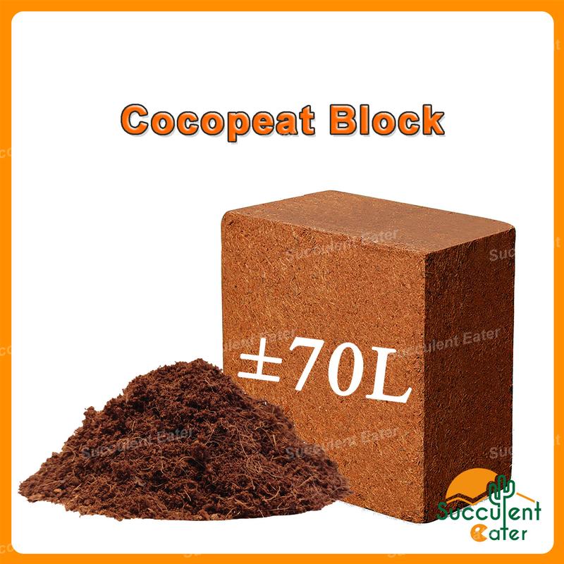 CocoBlock Cocopeat Block Brick Compressed Form Coconut Gardening ...