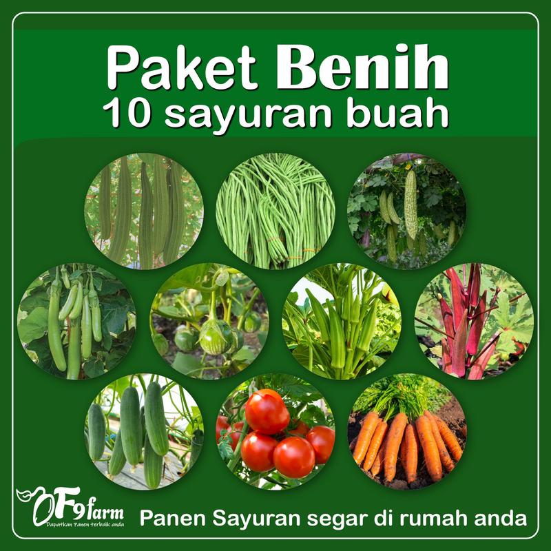 Paket Benih Bibit Sayuran Buah 10 Jenis Gambas Oyong Terong Tomat Timun ...