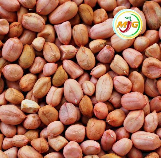 Kacang Tanah Mentah / Raw Groundnut /Imported from India - 100g/250g ...